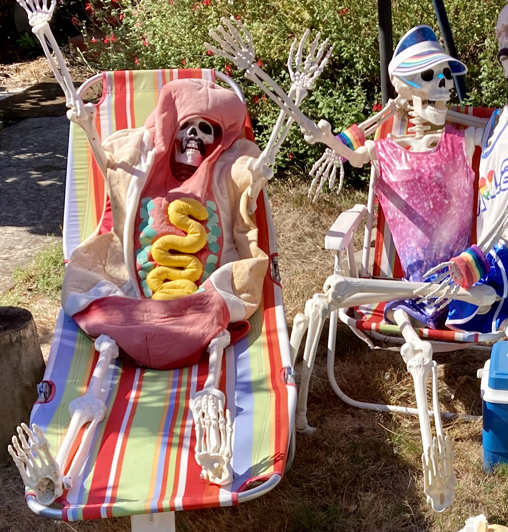 Fall Folk Music | KBOO