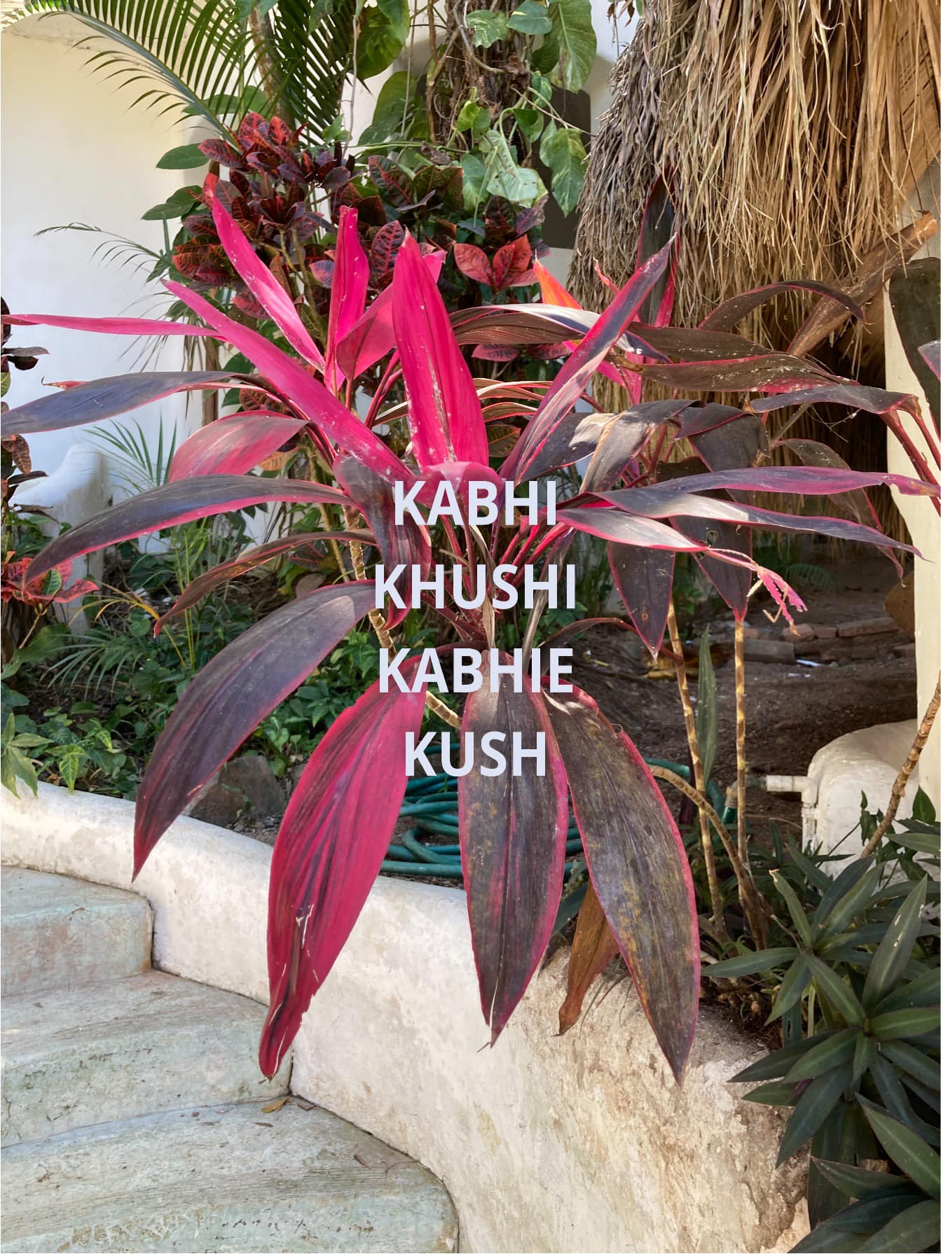 Kabhi Khushi Kabhie Kush 10/11/2022 with The Incredible Kid | KBOO