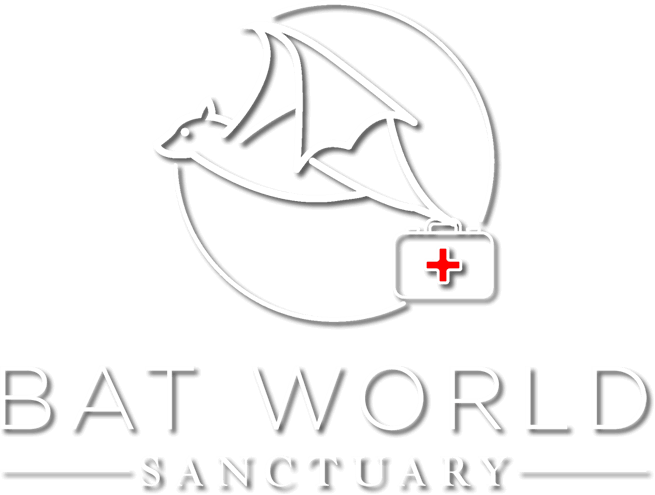 Bat World Sanctuary | KBOO